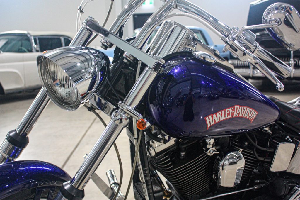 1987 Harley-Davidson Softail Custom - Joe's Golden Gasoline