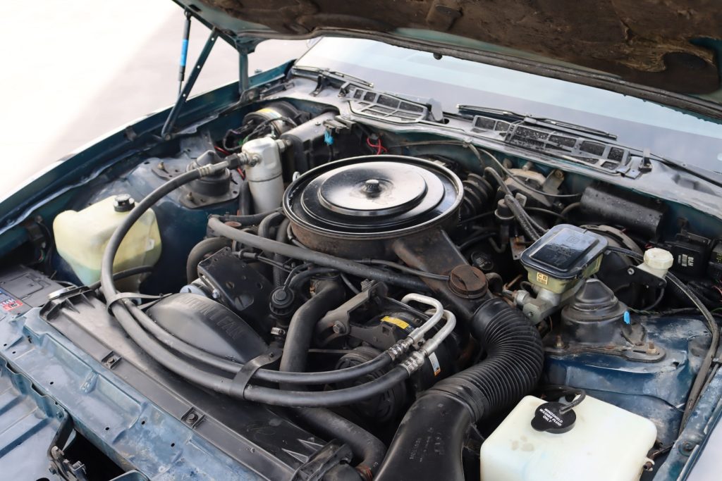 1985 Pontiac Firebird Trans Am - Joe's Golden Gasoline