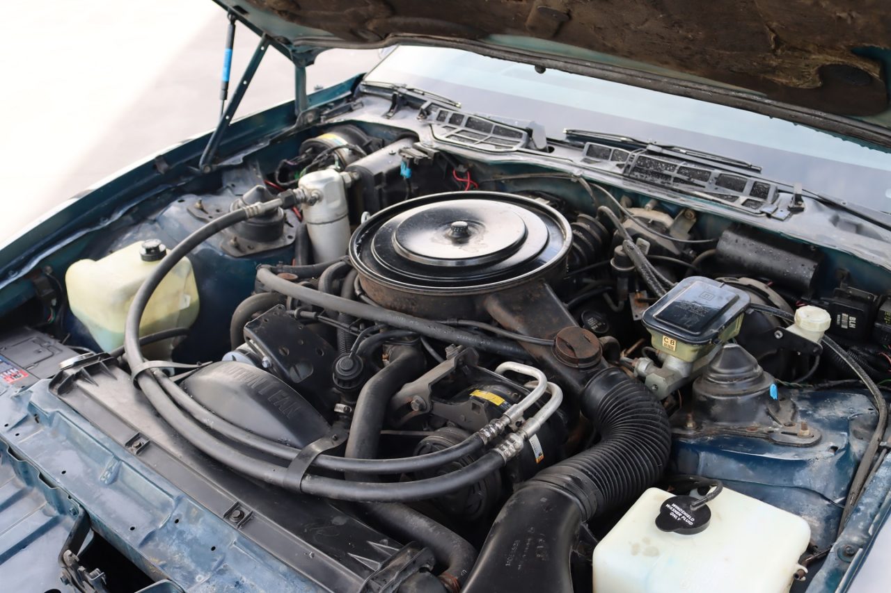 1985 Pontiac Firebird Trans Am - Joe's Golden Gasoline